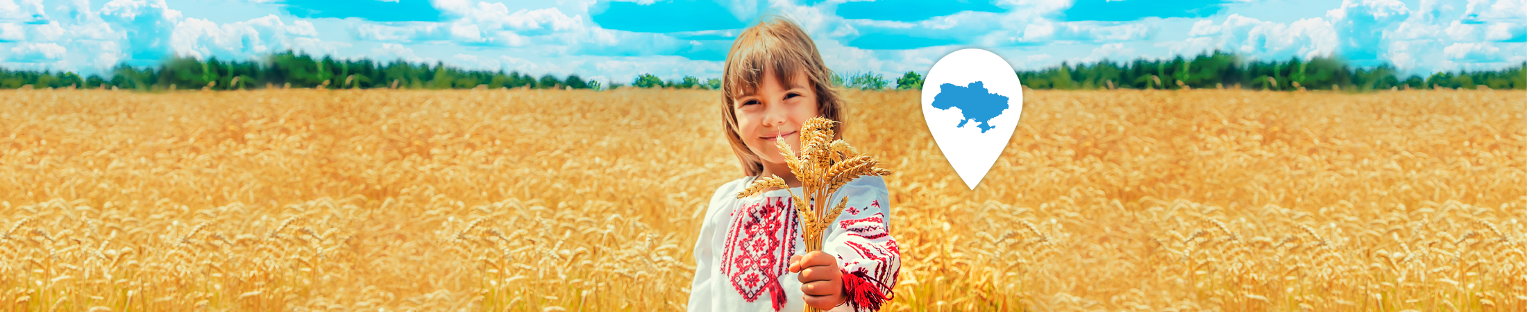 ᐈ Meest【 America 】 - International Shipping | Postal & Transportation ...