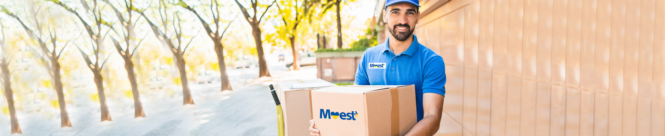 ᐈ Meest【 USA 】 - International Shipping | Postal & Transportation Services
